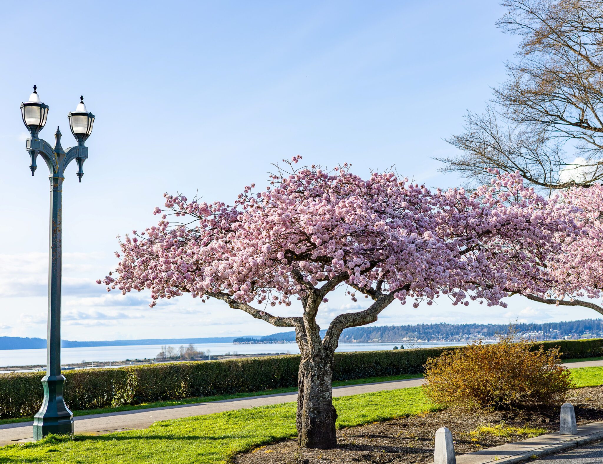 Seen In Everett – Photos of people, places and events in Everett ...